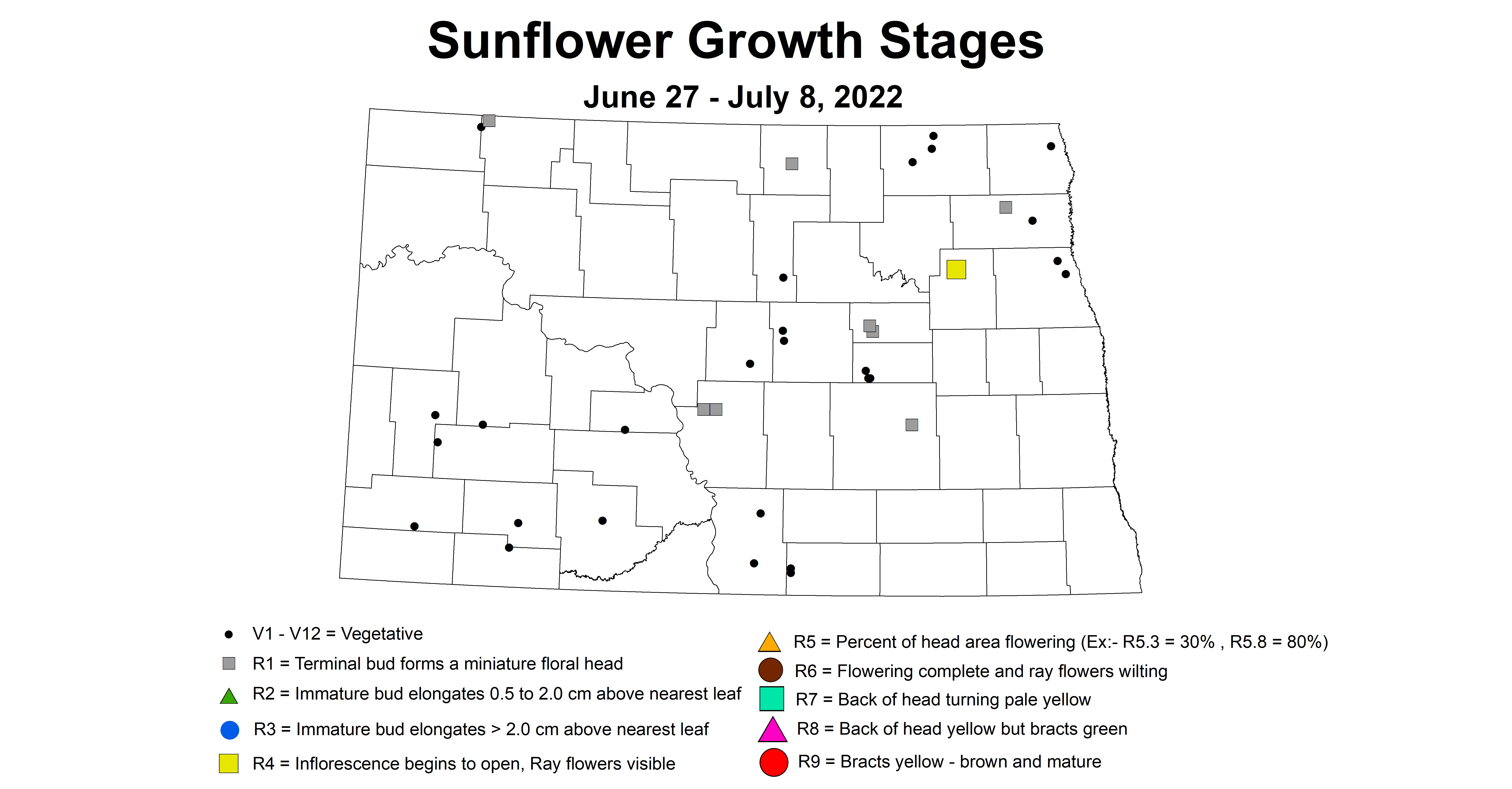 Sunflower - IPM Crop Survey Maps | NDSU Agriculture and Extension