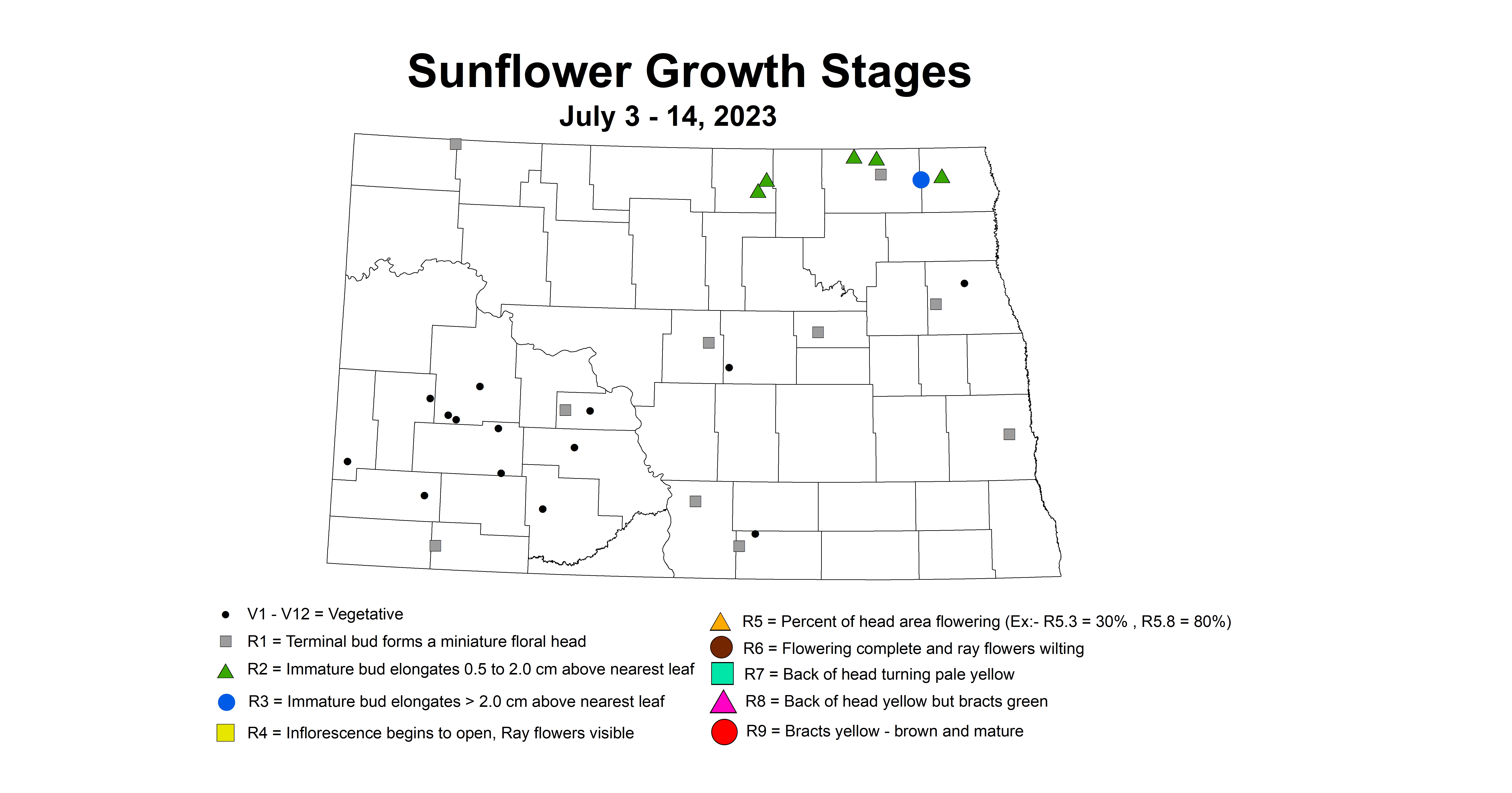 Sunflower - IPM Crop Survey Maps | NDSU Agriculture