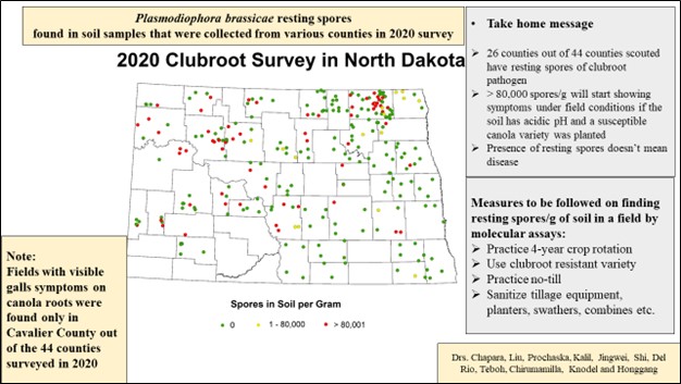 2021: Clubroot on Canola: Survey & Quantification of Resting Spores of ...