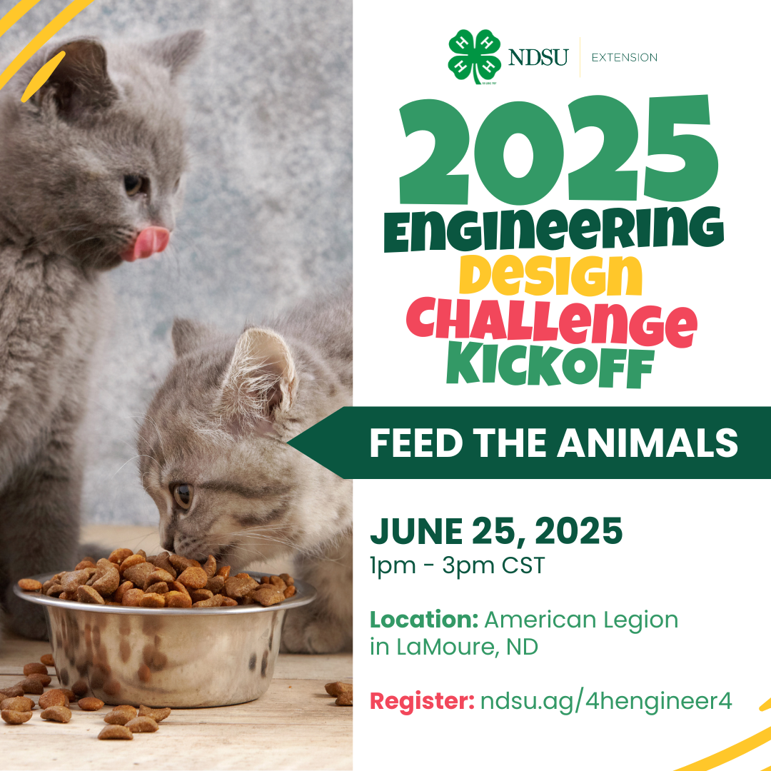 4-H Engineering Design Challenge Kickoff - LaMoure County | NDSU ...