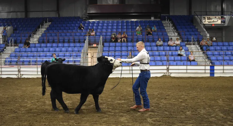 Beef Project | NDSU Agriculture