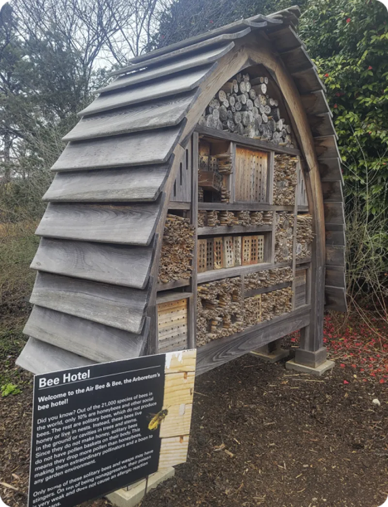 Bee-utiful Landscapes: Building a Pollinator Garden | NDSU Agriculture