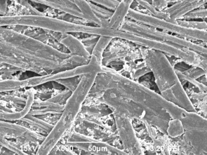 Papers | Electron Microscopy Core | NDSU