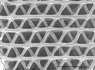 Tissue scaffolds | Electron Microscopy Core | NDSU
