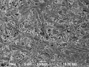 Papers | Electron Microscopy Core | NDSU
