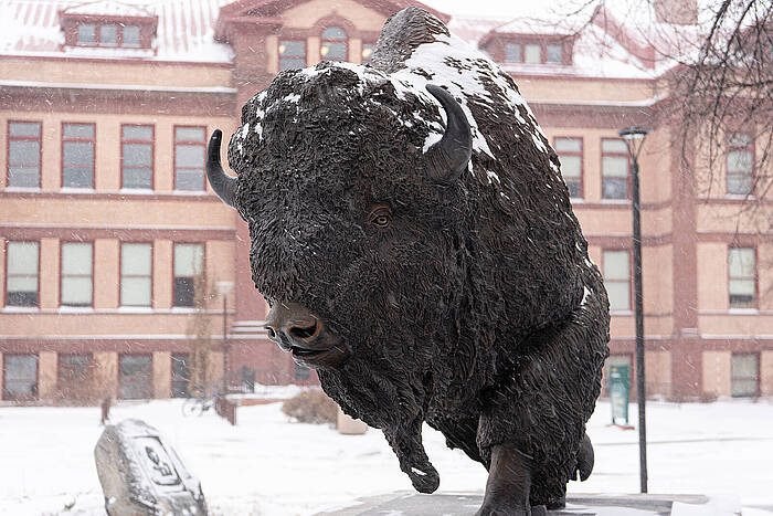 Degree completion program helps adults earn degrees | NDSU News | NDSU