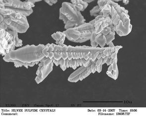 Silver sulfide crystals | Electron Microscopy Core | NDSU