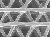 Tissue scaffolds | Electron Microscopy Core | NDSU