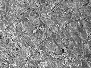 Papers | Electron Microscopy Core | NDSU