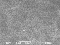 Papers | Electron Microscopy Core | NDSU