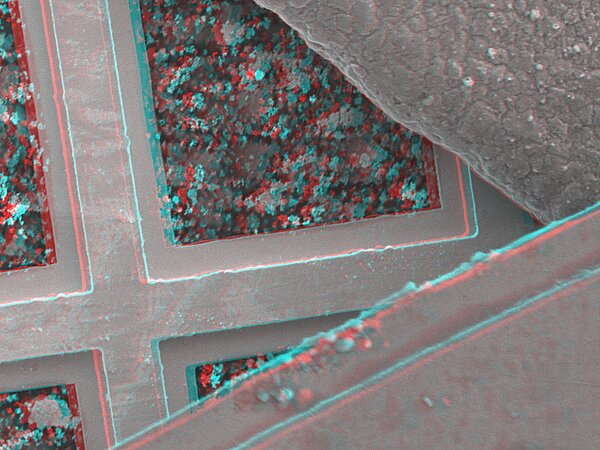 TEM grids | Electron Microscopy Core | NDSU
