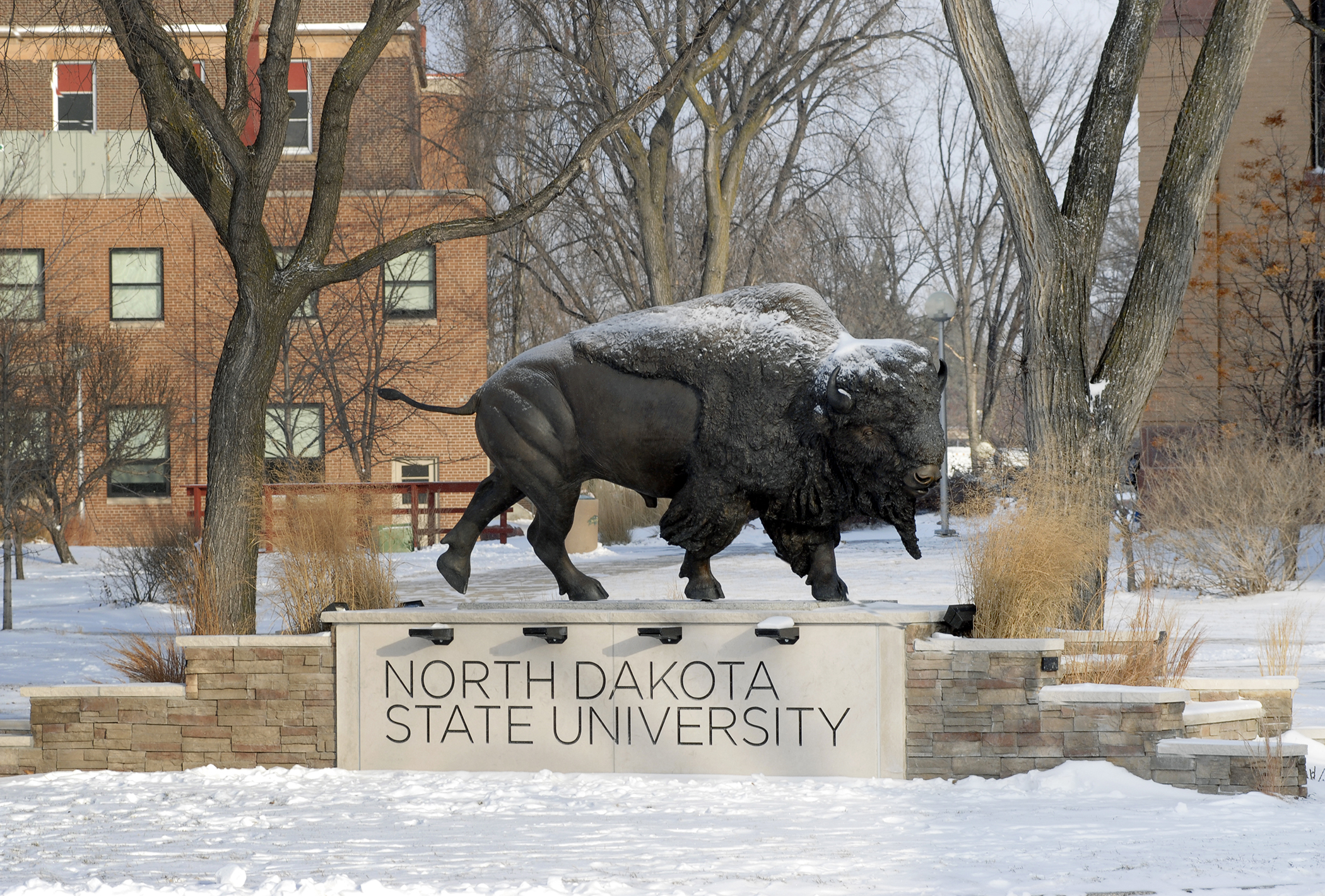 Buildings/Grounds | University Relations | NDSU