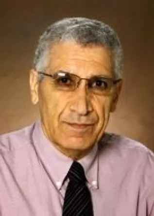Bahman Bahrami, PhD