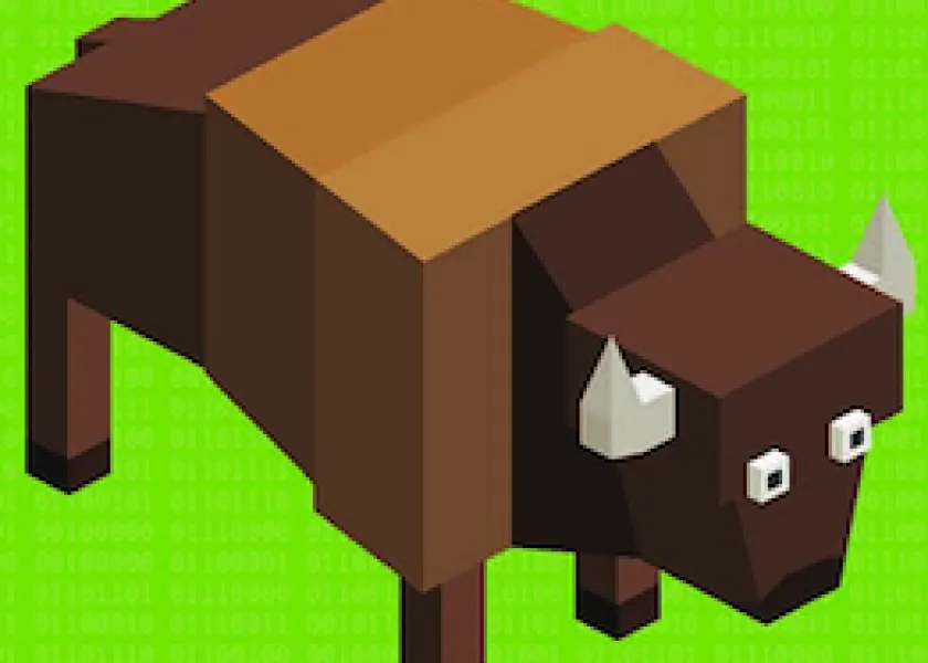 Bison Cyber camp scheduled