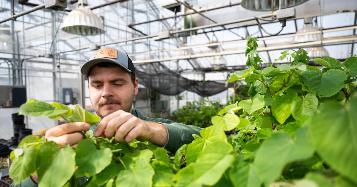 Plant Science & Technology