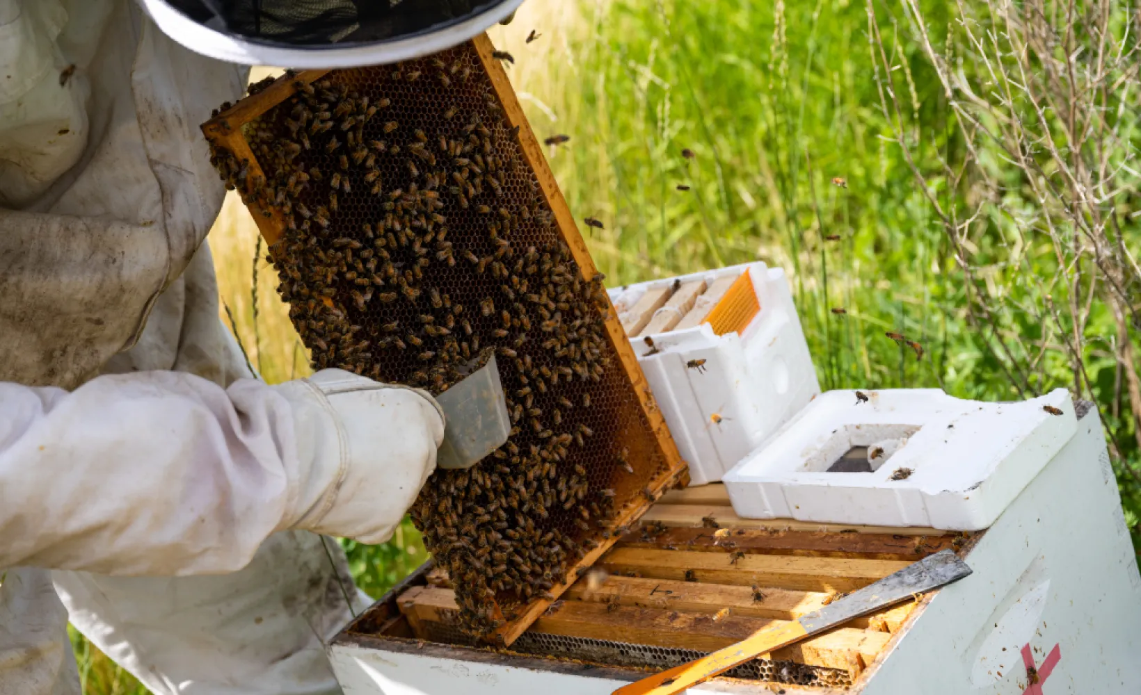 ‘Research is rewarding’