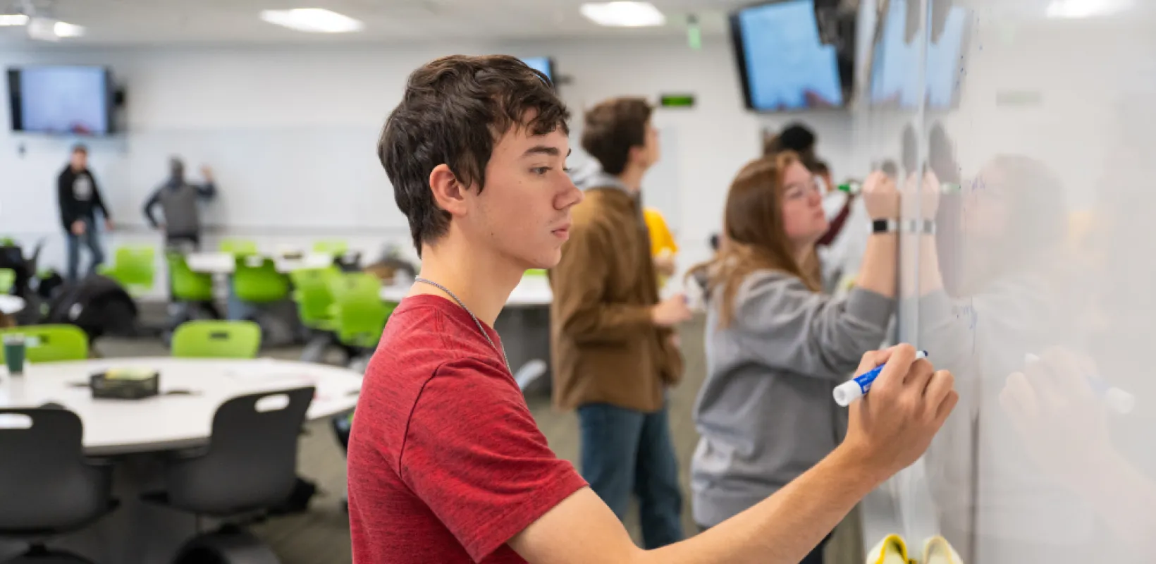 Learning Assistant Program