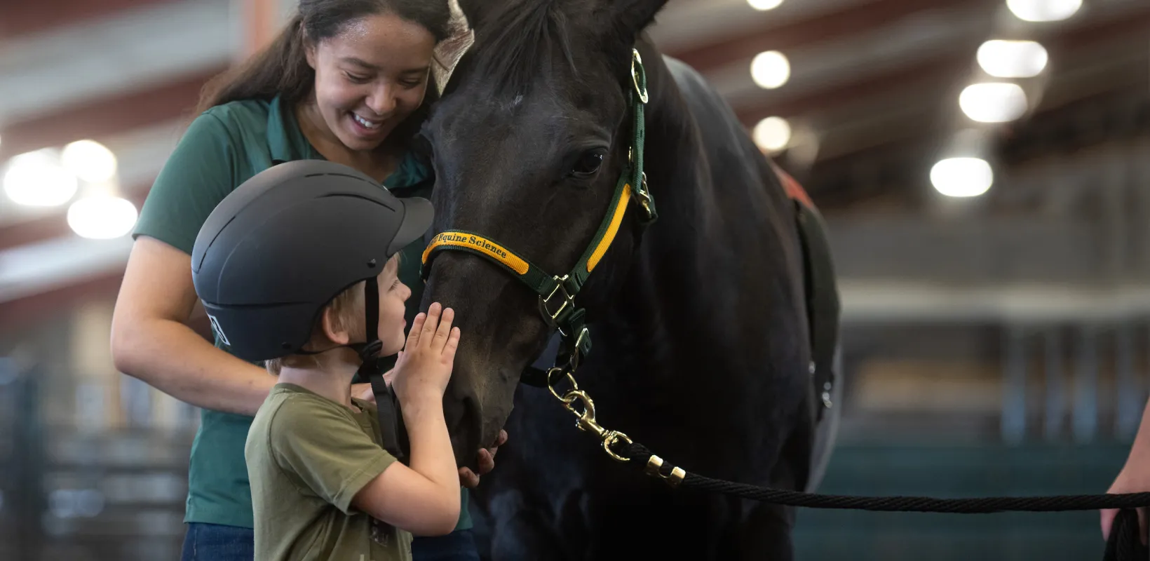Equine Assisted Services