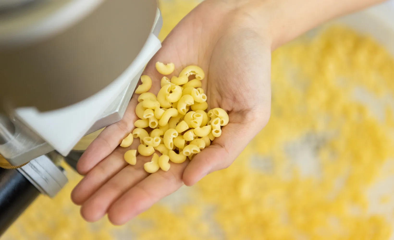 Milling, Baking & Pasta Making