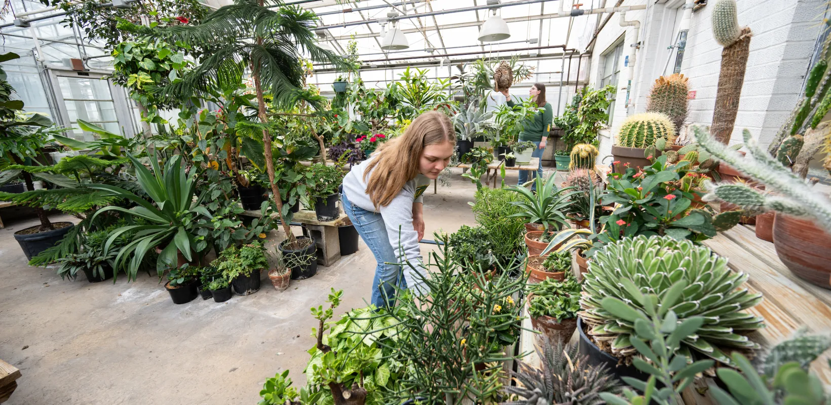 Horticulture Management