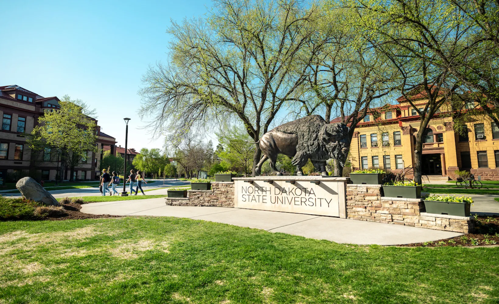 Summer Undergraduate Research Experience