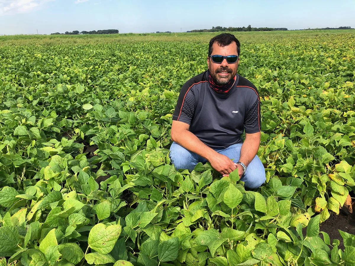 NDSU’s dry bean breeding program seeks to impact global food security