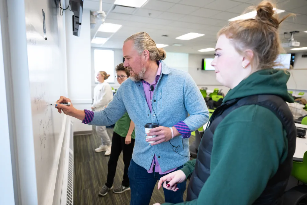 Learning Assistant Program