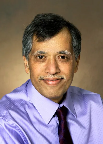 University Distinguished Professors